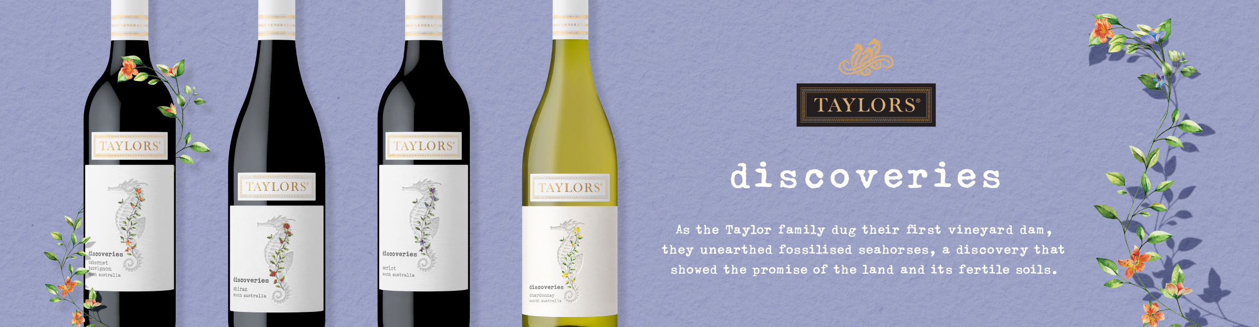 Buy Taylors Wines Online (Lowest Prices in Australia) | Taylors Wine ...