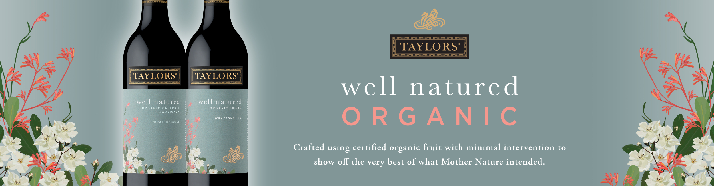 Buy Taylors Wines Online (Lowest Prices in Australia) | Taylors Wine ...