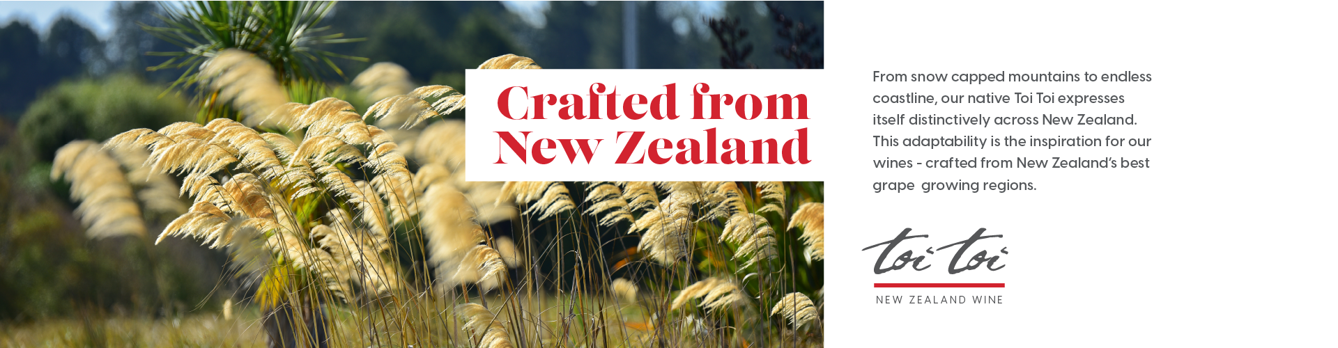 Buy Toi Toi Wine Australia | Toi Toi Wines at Lowest Price Online - Dan ...