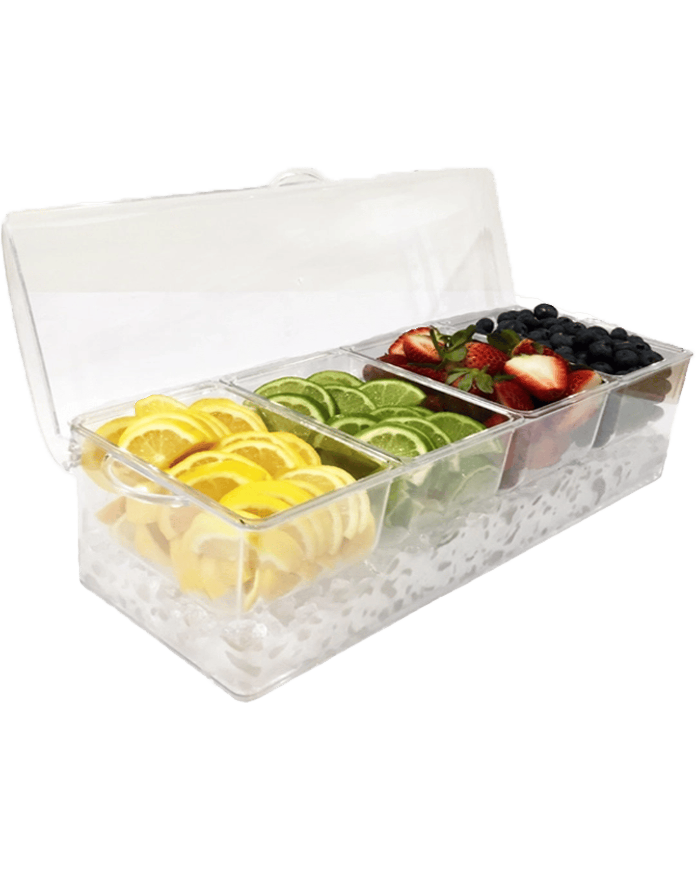 Buy Barware Bar Ice Caddy Condiment Dispenser With 4 Inserts Online ...