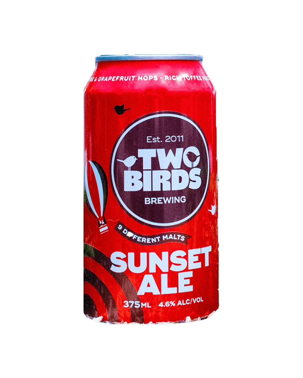 Buy Two Birds Brewing High Flyer Mixed Carton 375ml Online @Lowest Price