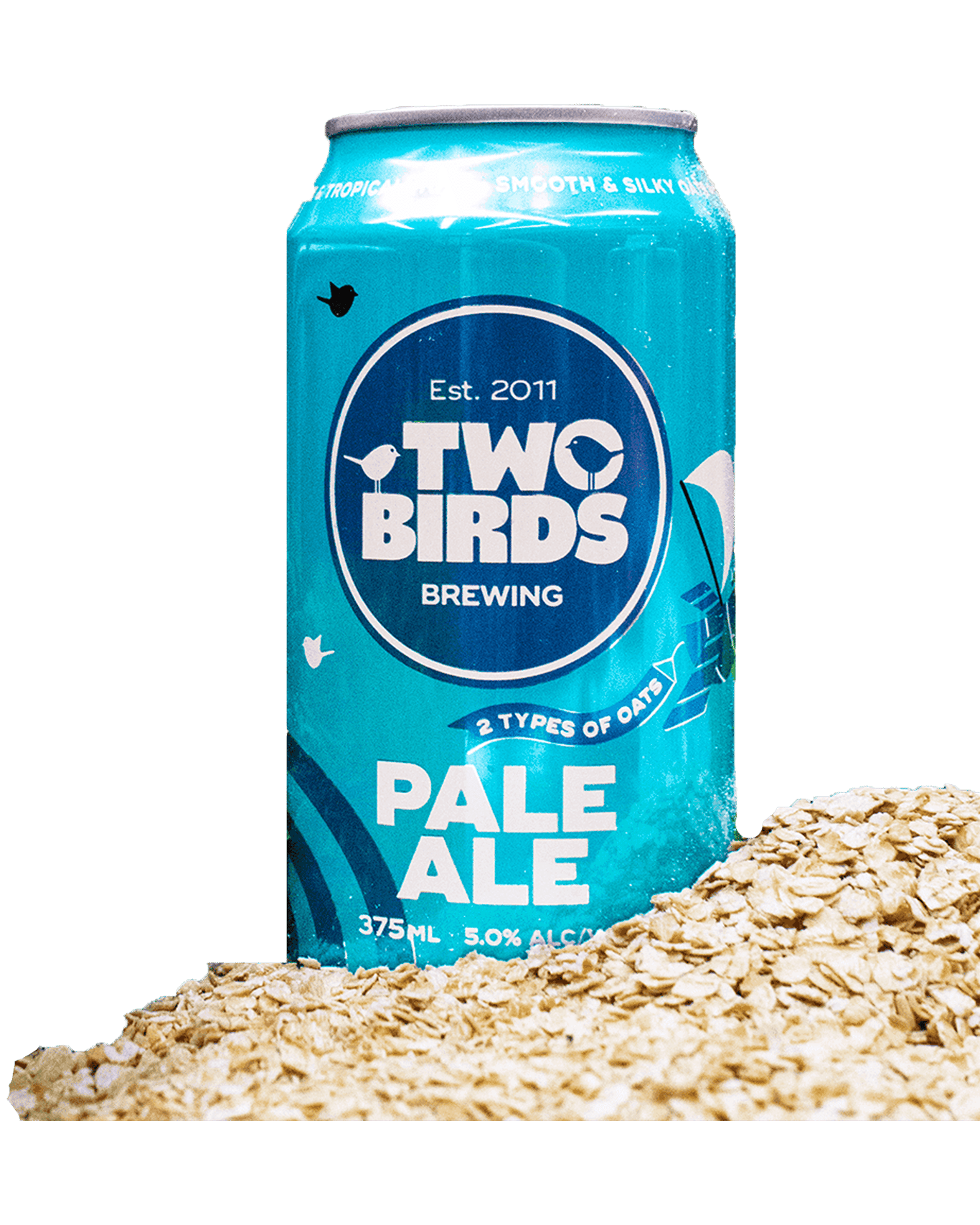 Buy Two Birds Brewing High Flyer Mixed Carton 375ml Online @Lowest Price