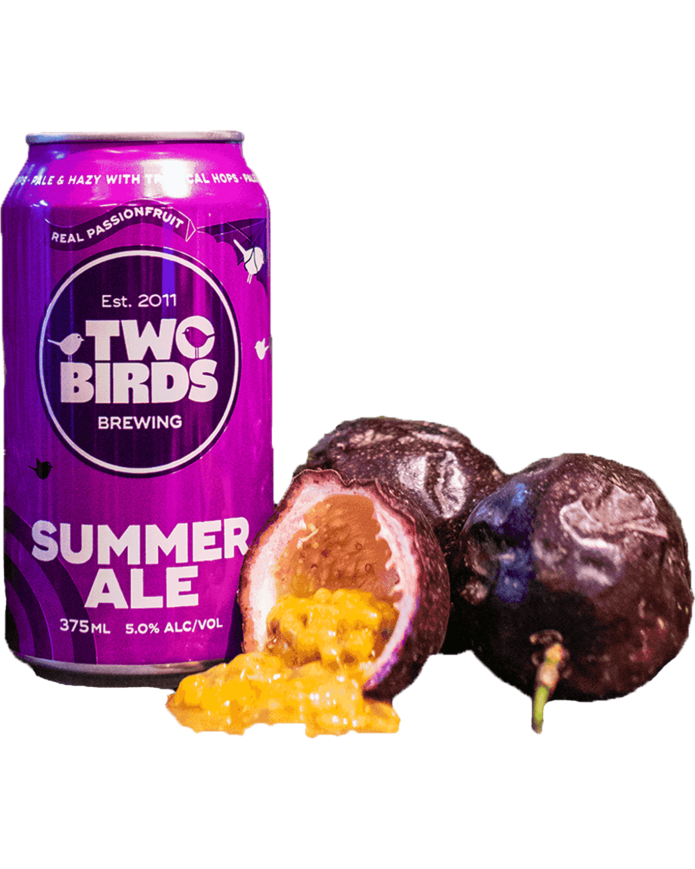 Buy Two Birds Brewing High Flyer Mixed Carton 375ml Online @Lowest Price