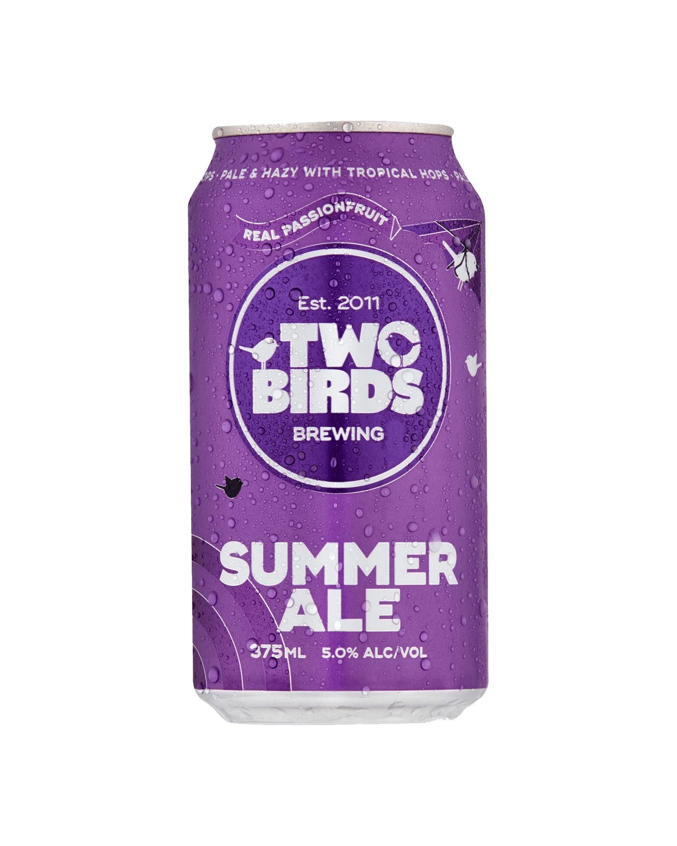 Buy Two Birds Brewing Summer Ale 24x375ml Cans Online @Lowest Price