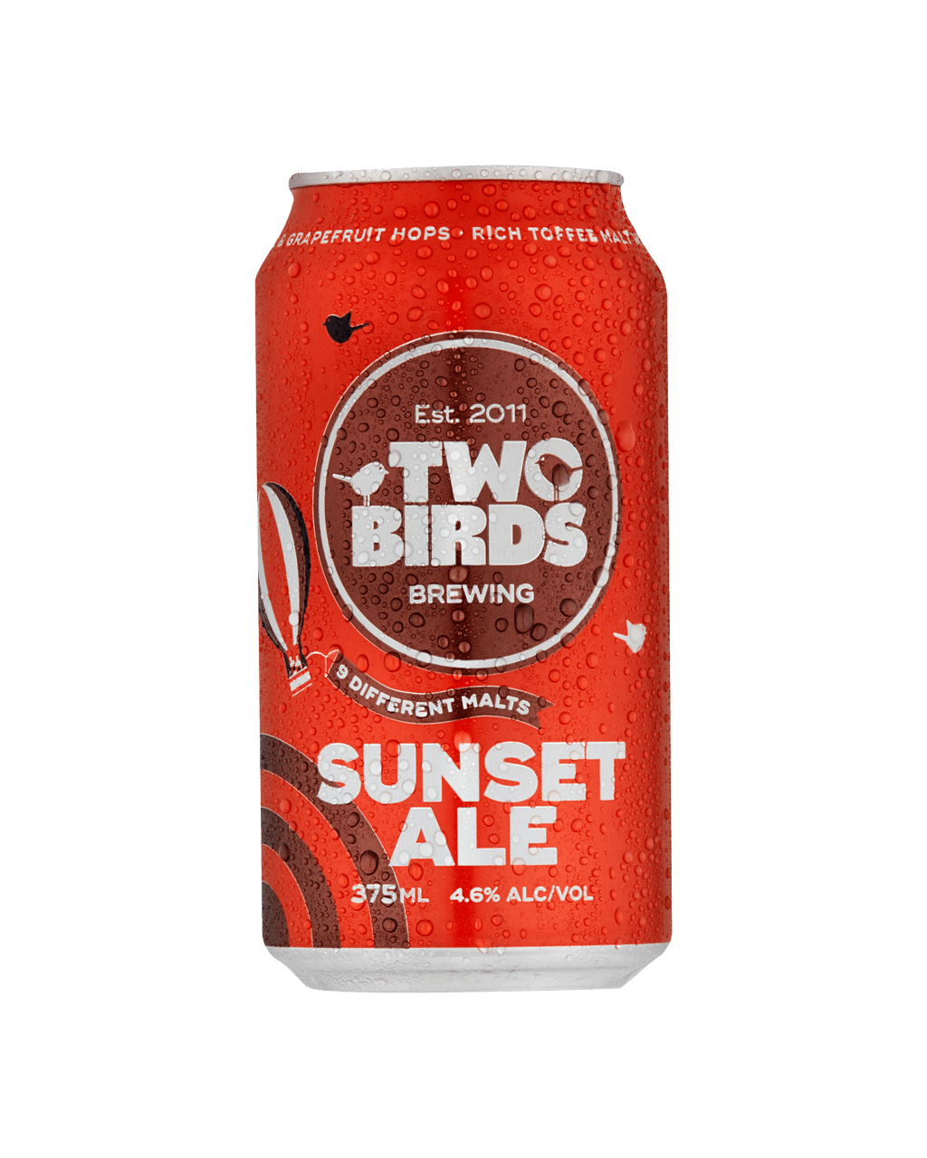 Buy Two Birds Brewing Sunset Ale 24x375ml Cans Online (Low Prices) from ...