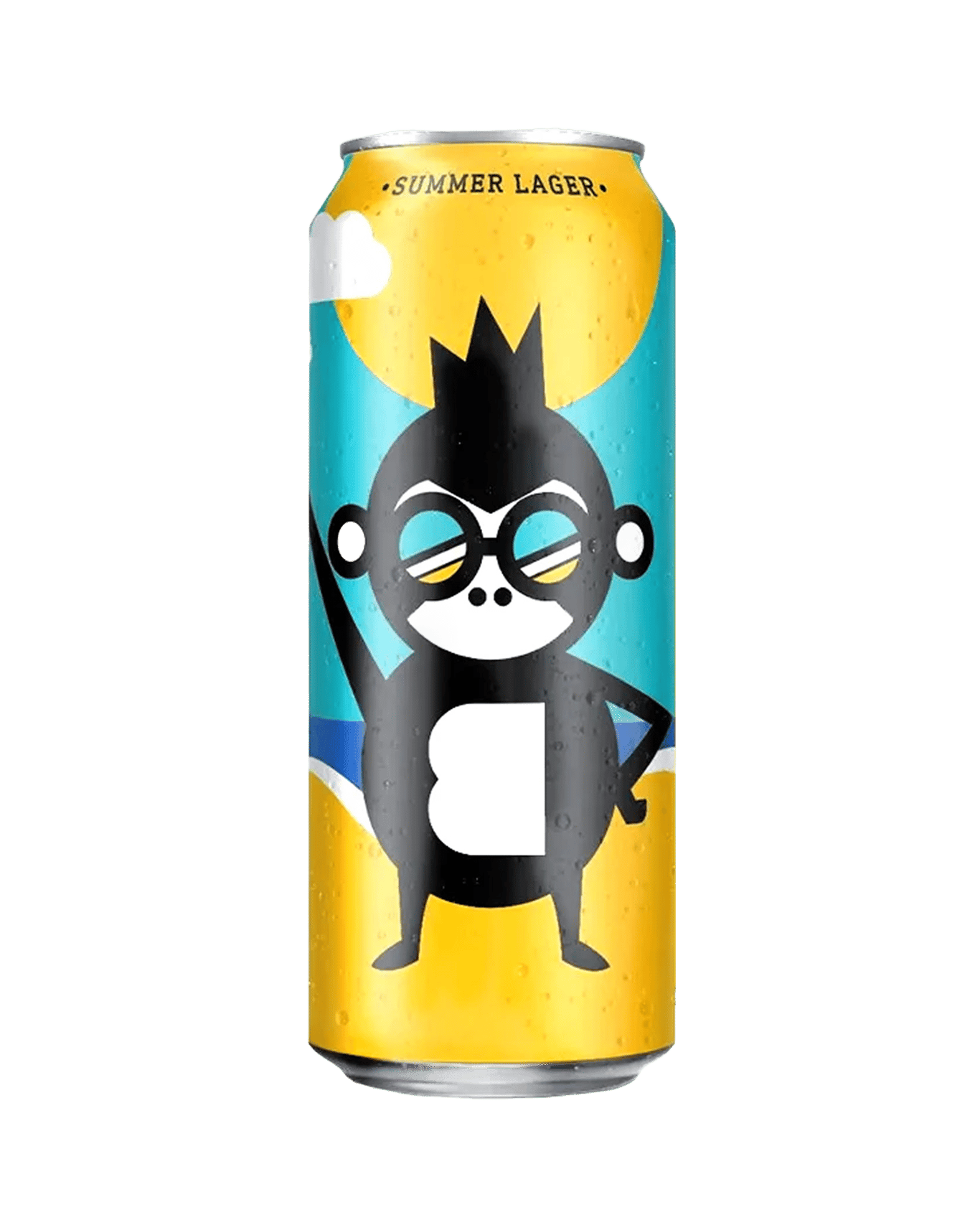 Buy Bira 91 Lager Cans 330ml Online @Lowest Price