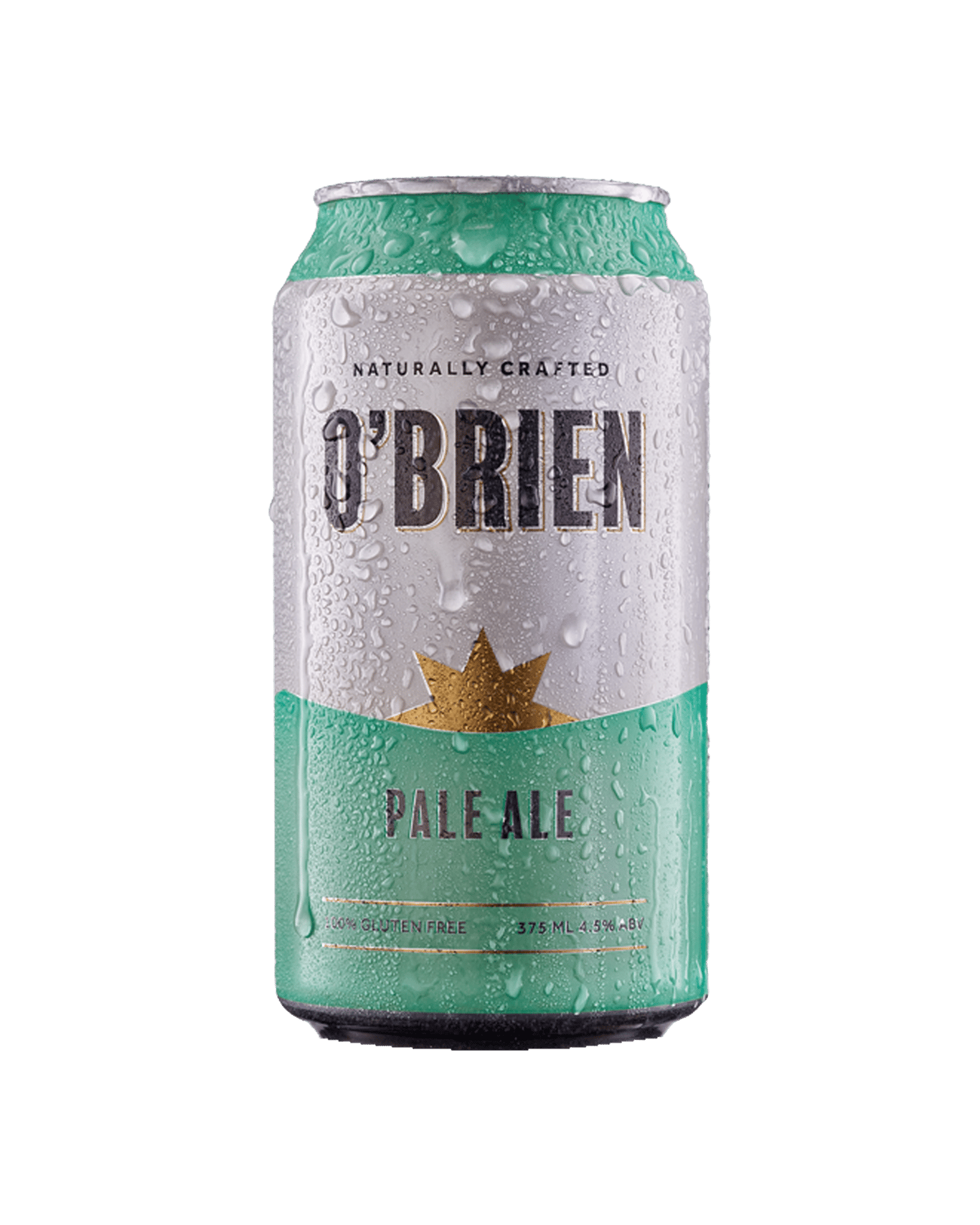 Buy Obrien Brewing Pale Ale Cans 16 Pack 375ml Online @Lowest Price