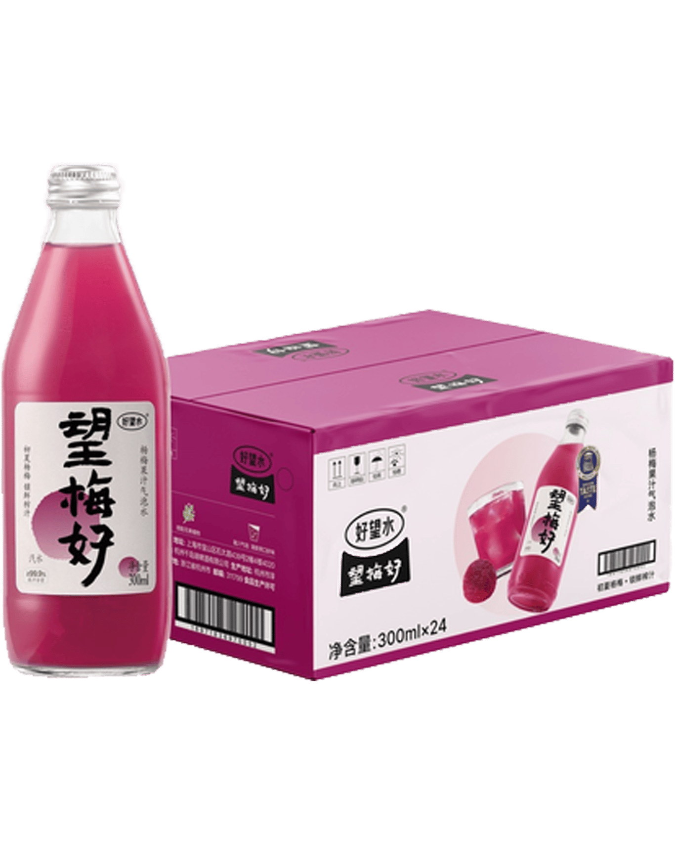 Buy Hope Water Sparkling Plum Water 300ml Online @Lowest Price