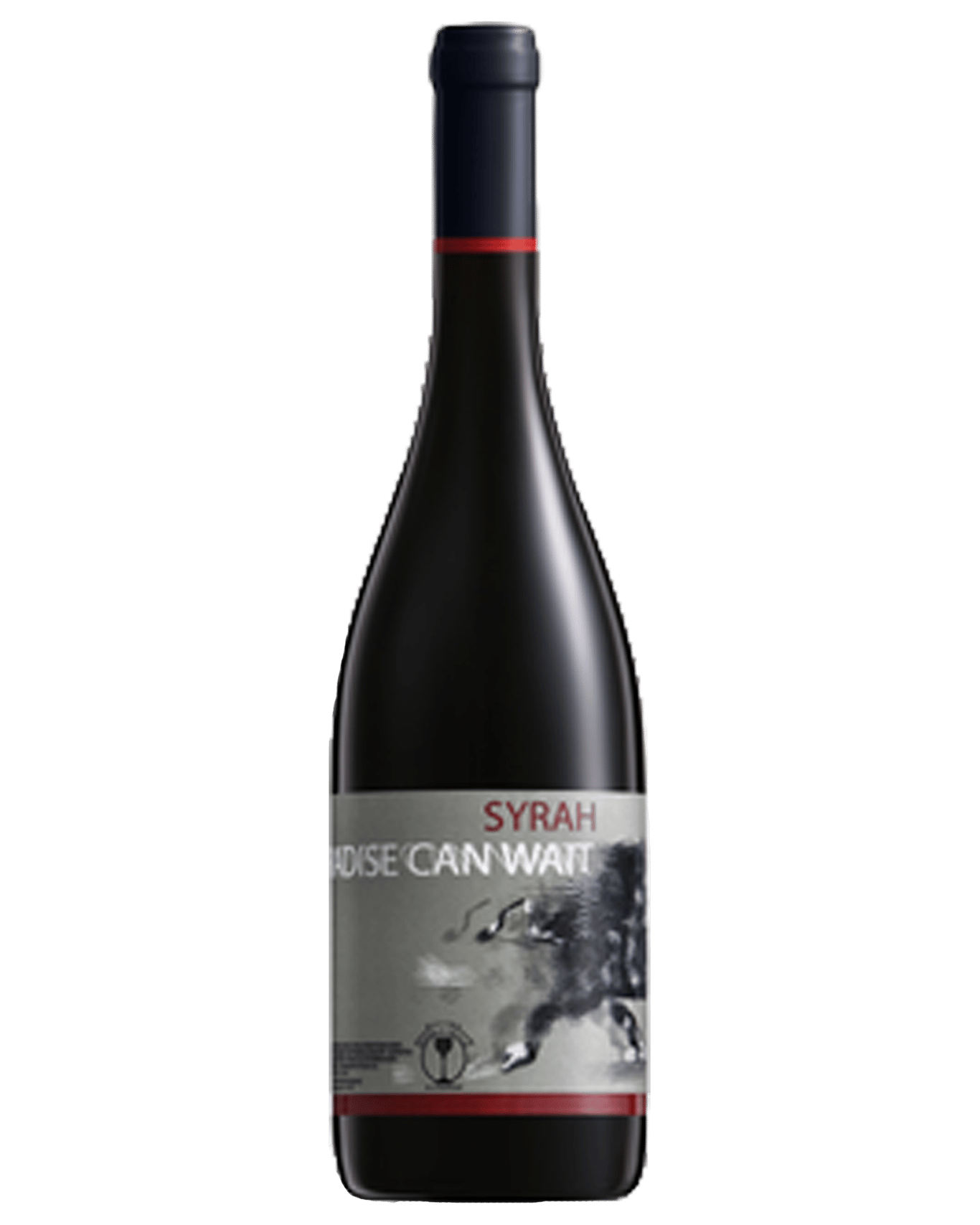 Buy Monsieur Nicolas Paradise Can Wait Syrah 2019 Online @Lowest Price
