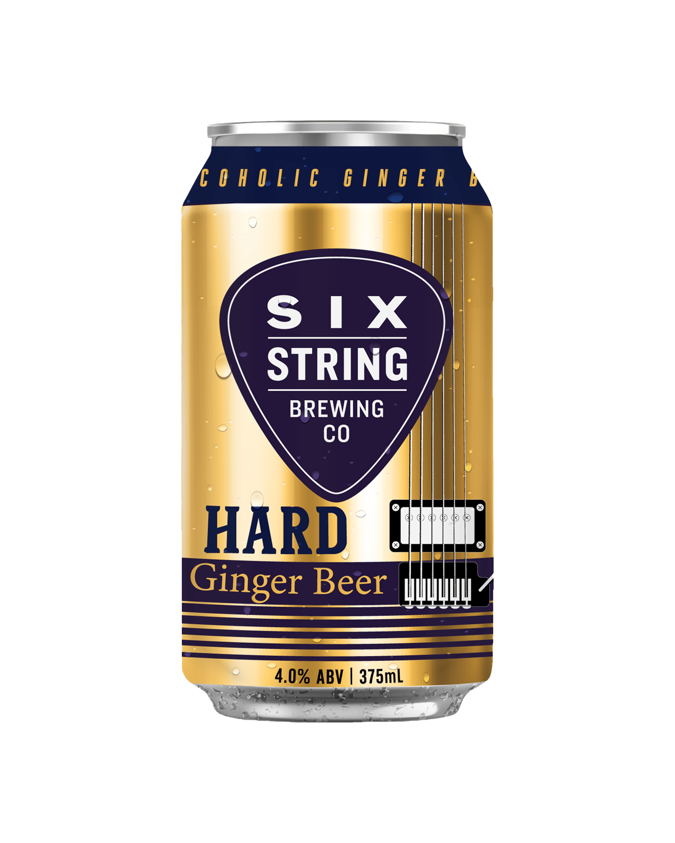 Buy Six String Brewing Hard Ginger Beer 375ml Online @Lowest Price