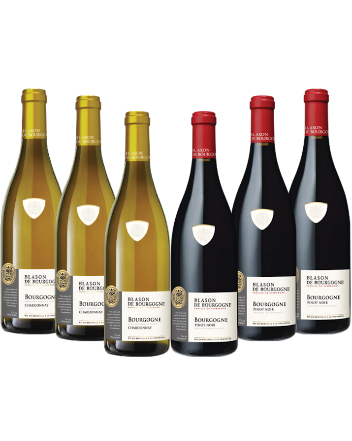 Buy Mixed Wine Case Blason De Bourgogne Burgundy Pinot Noir ...