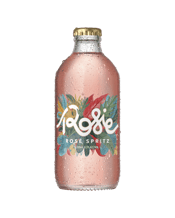 Buy Aperol, Cruiser & Gordon's Spritz Australia | Spritz Drink Online ...