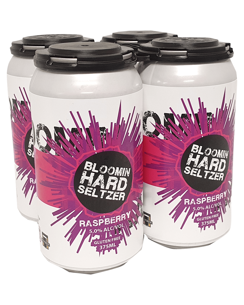 Buy Bloomin Hard Raspberry Seltzer 375ml Online (Low Prices) from Dan ...