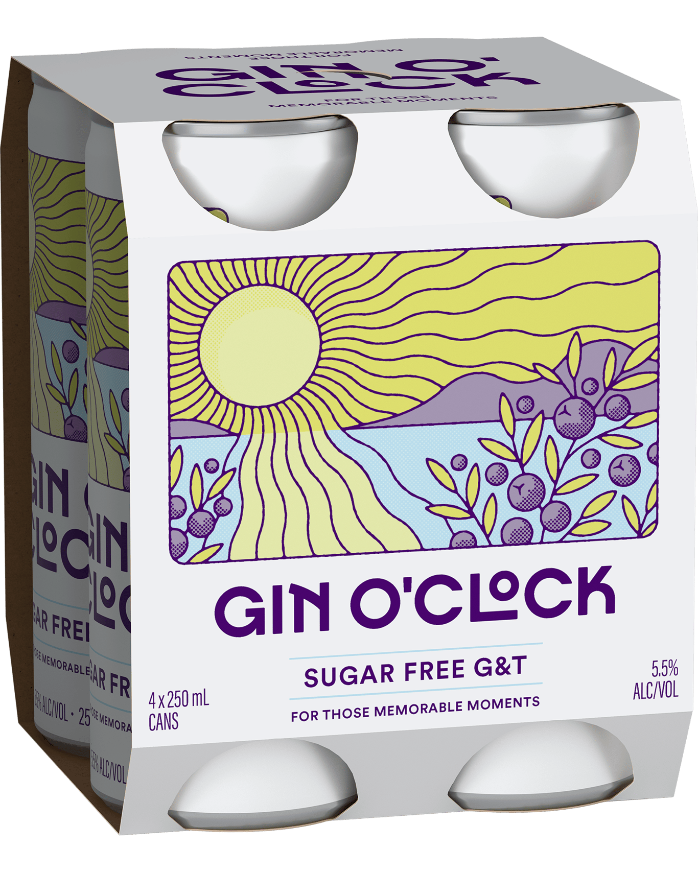Buy Gin O'clock Sugar Free Gin And Tonic 4x250ml Online @Lowest Price