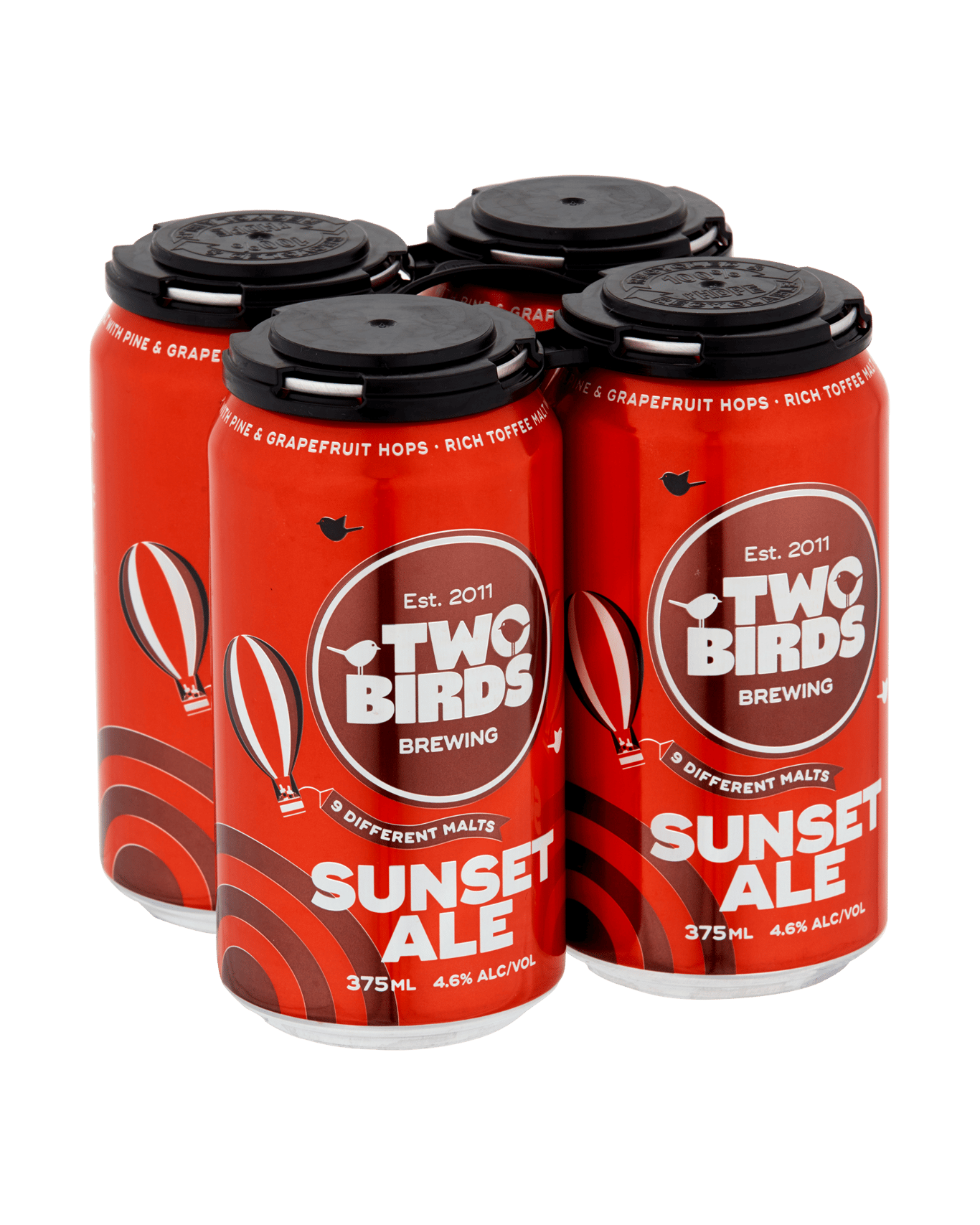 Buy Two Birds Brewing Sunset Ale 375ml Online @Lowest Price