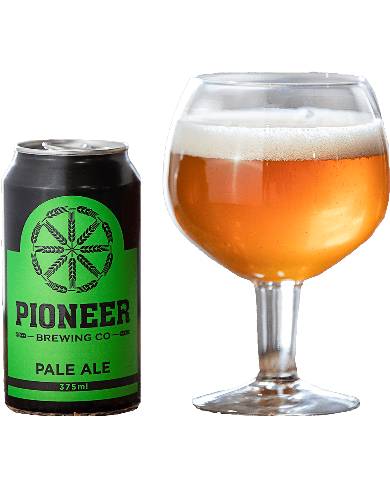 Buy Pioneer Ale Can 375ml Online @Lowest Price