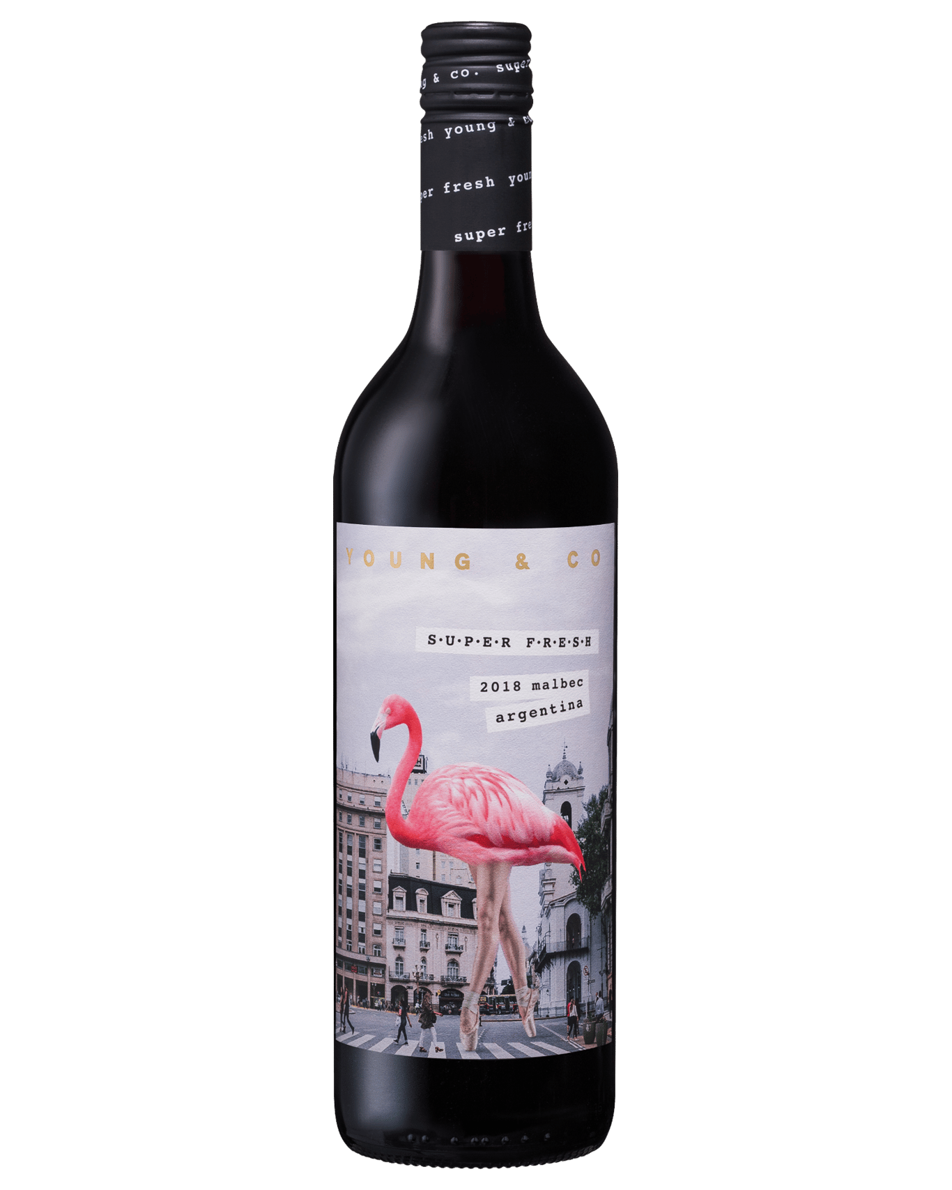 Buy Young & Co Super Fresh Malbec Online @Lowest Price