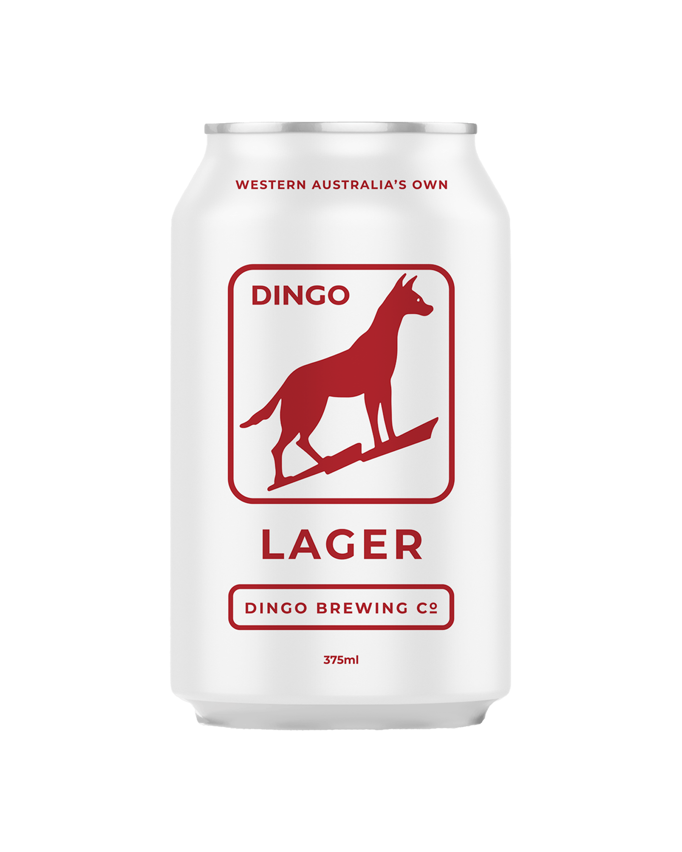 Buy Dingo Brewing Co Lager Cans 375ml Online @Lowest Price