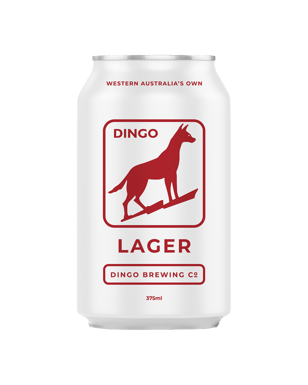 Buy Dingo Brewing Co Lager Cans 375ml Online @Lowest Price