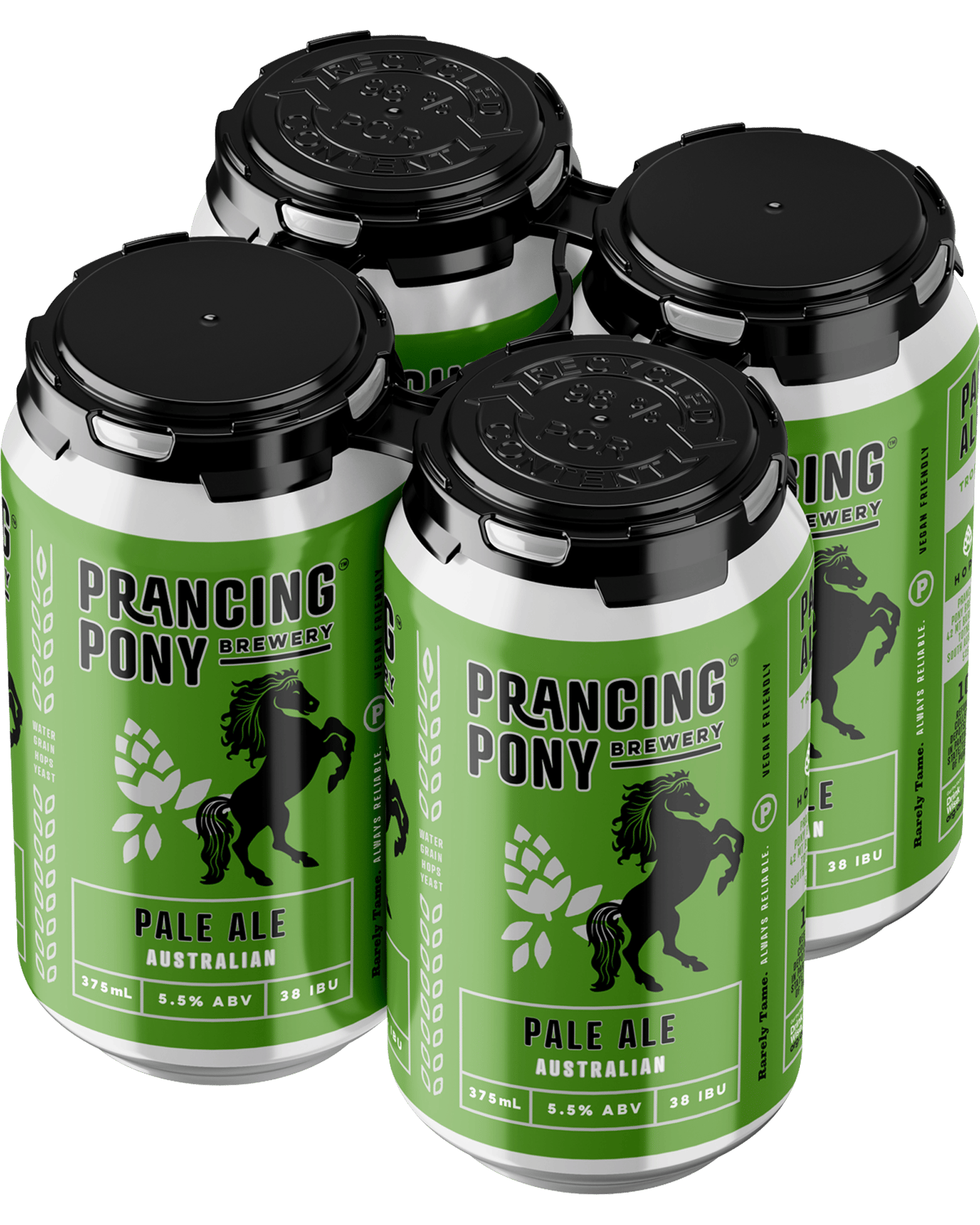Buy Prancing Pony Brewery Pale Ale Cans 375ml Online (Low Prices) from ...