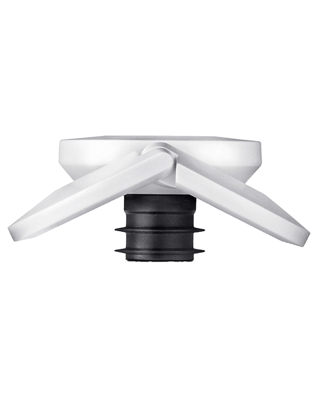 Buy Zzysh Champagne Closure White Online @Lowest Price