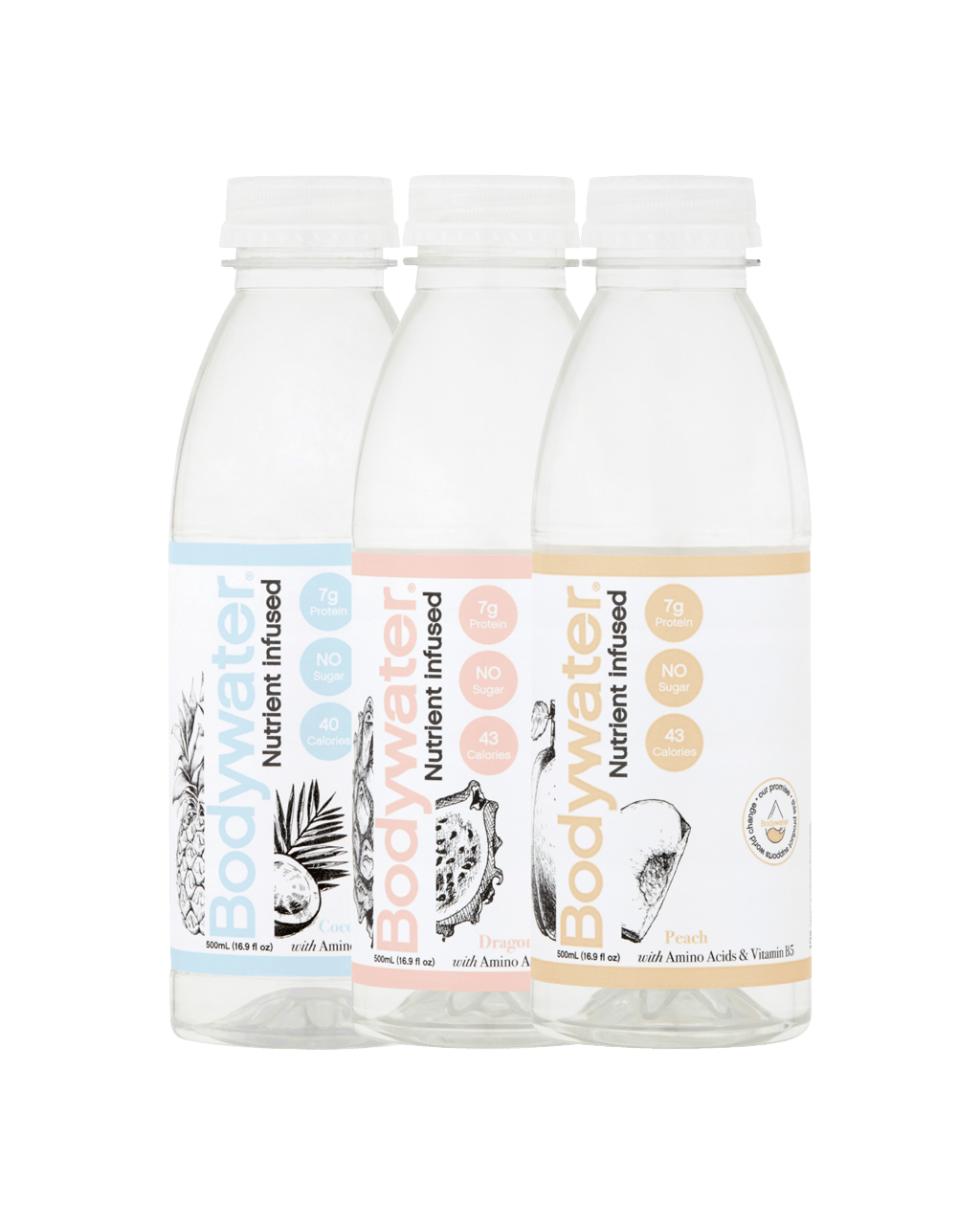 Buy Bodywater Variety 500ml Bottles 12 Pack Online @Lowest Price