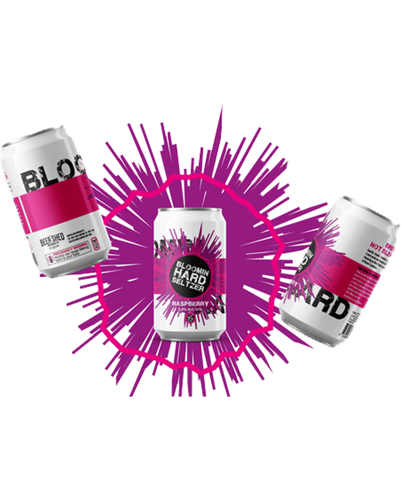 Buy Bloomin Hard Raspberry Seltzer 375ml Online @Lowest Price