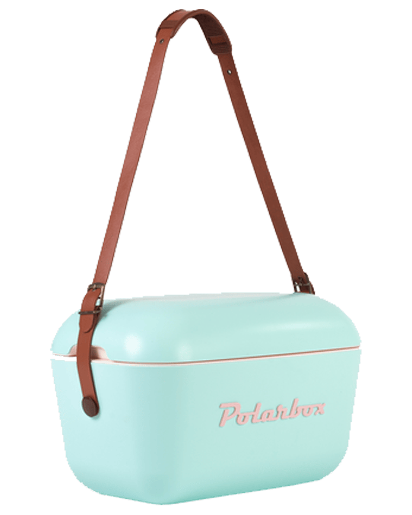 Buy Polarbox Classic Cyan Cooler Box 12l Online @Lowest Price