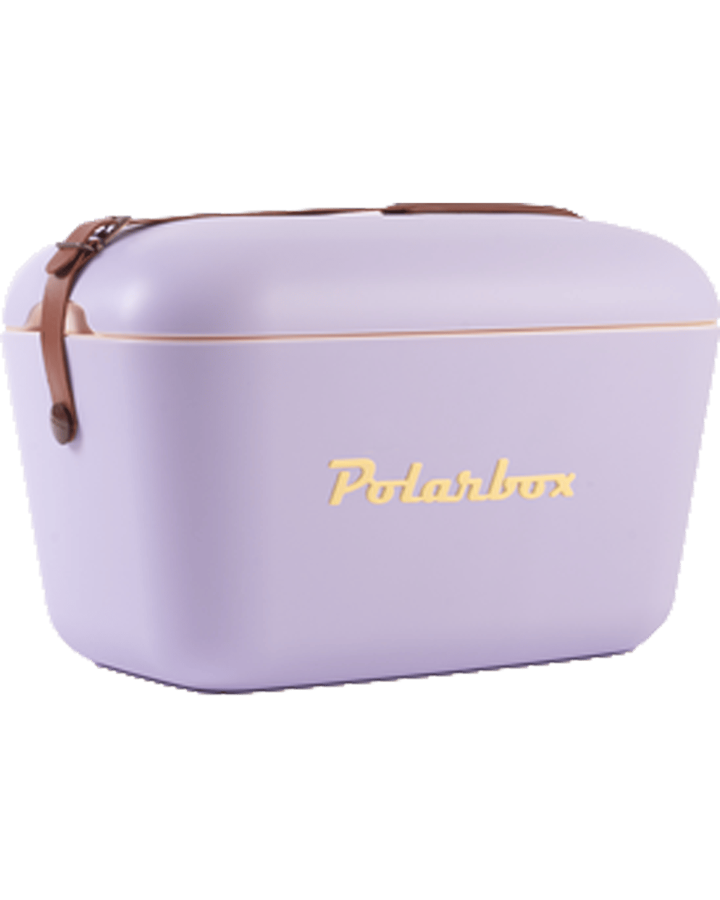 Buy Polarbox Classic Lilac Cooler Box 12l Online @Lowest Price