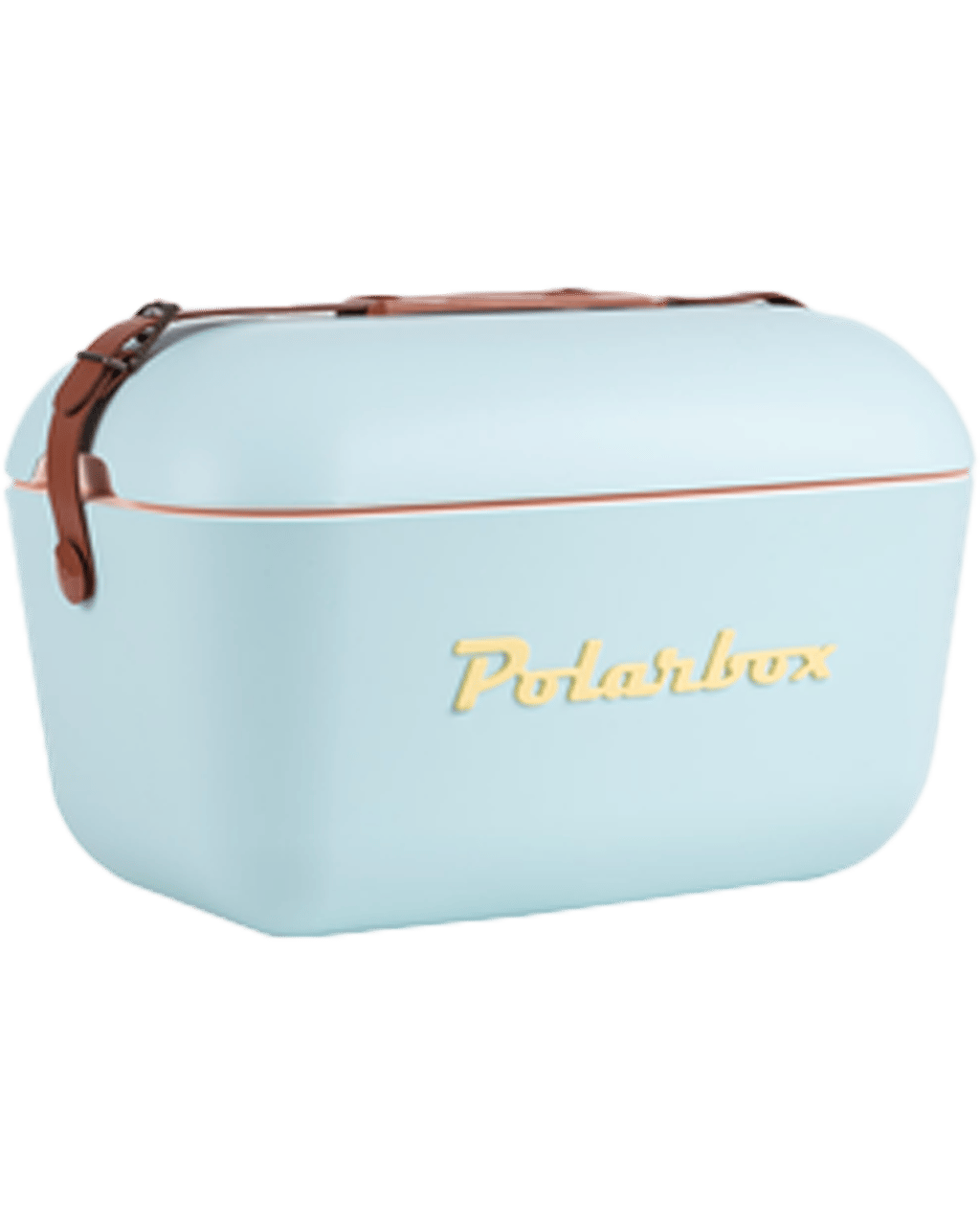 Buy Polarbox Classic Cooler Box Sky Blue 12l Online @Lowest Price