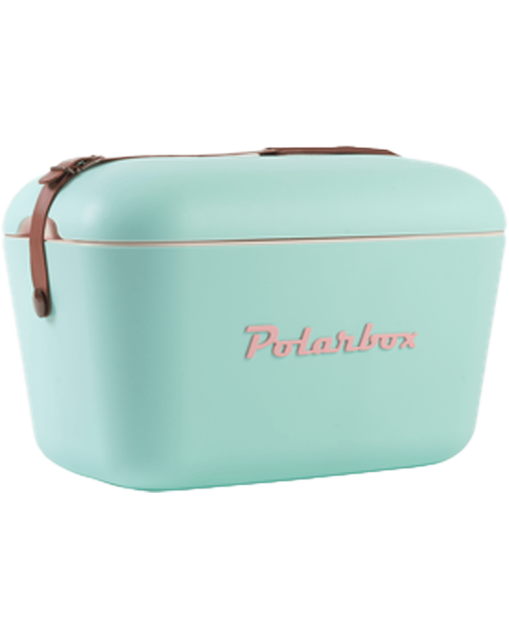 Buy Polarbox Classic Cyan Cooler Box 20l Online @Lowest Price