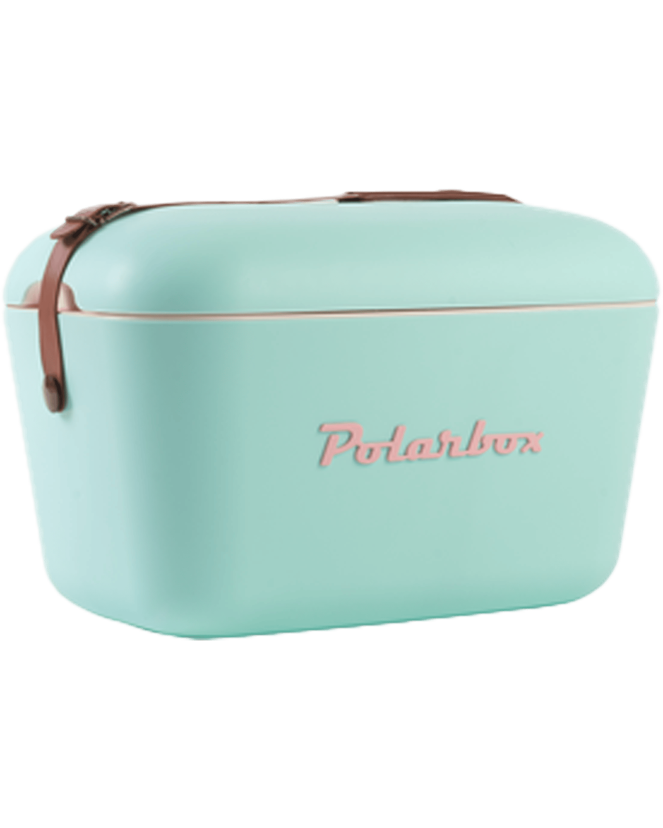 Buy Polarbox Classic Cyan Cooler Box 20l Online @Lowest Price