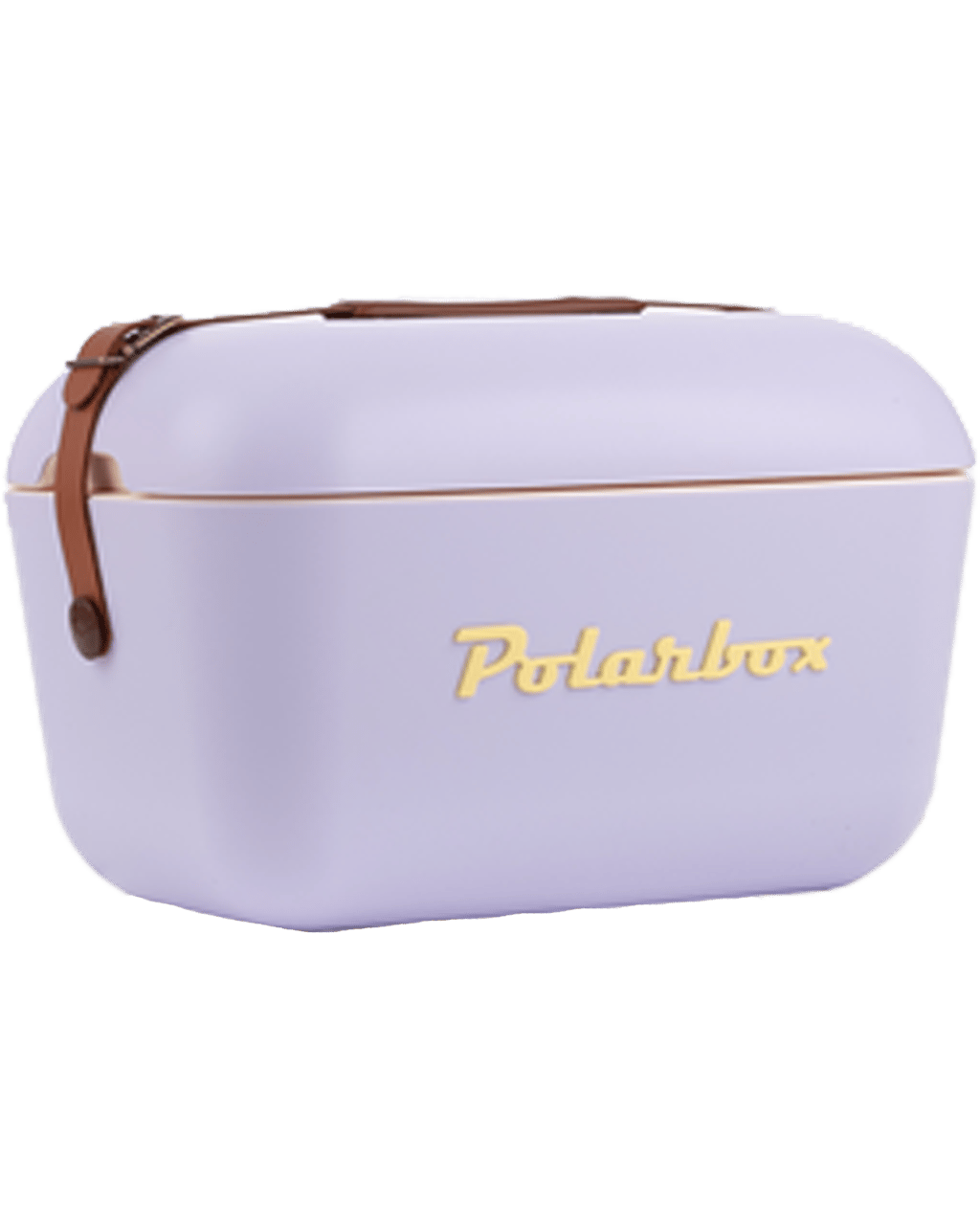 Buy Polarbox Classic Lilac Cooler Box 20l Online @Lowest Price