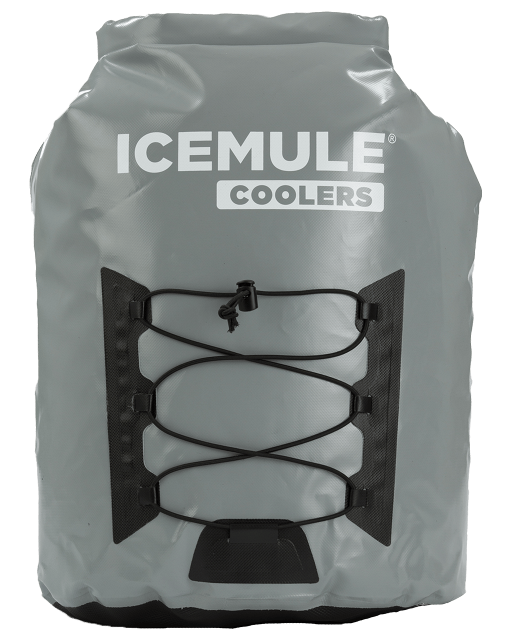 Buy Icemule Coolers Pro Backpack - Large (23l) - Grey Online @Lowest Price