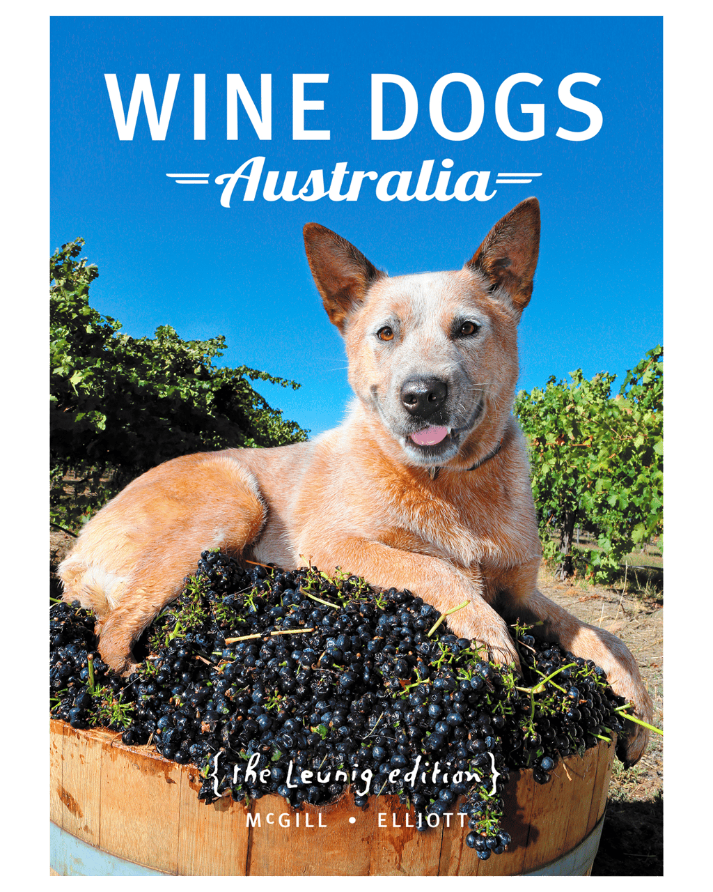 Buy Wine Dogs Australia 5 Online @Lowest Price