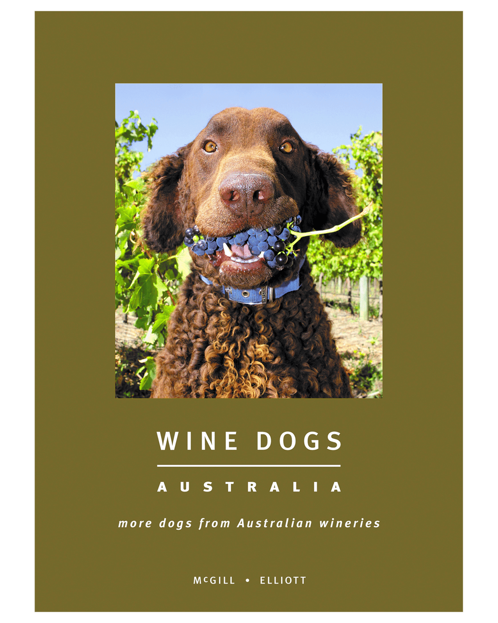 Buy Wine Dogs Australia Online @Lowest Price