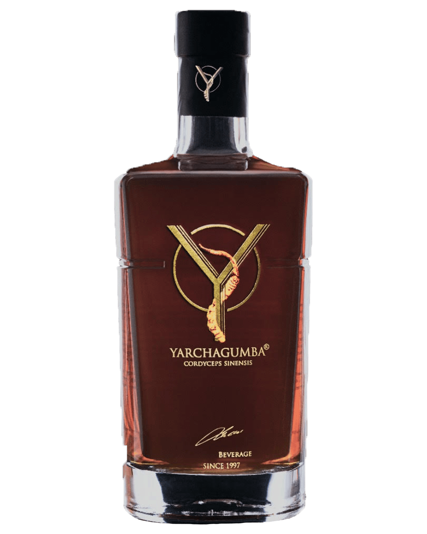 Buy Yarchagumba (cordyceps Sinensis) - Golden Sapphire Luxury Spirits ...