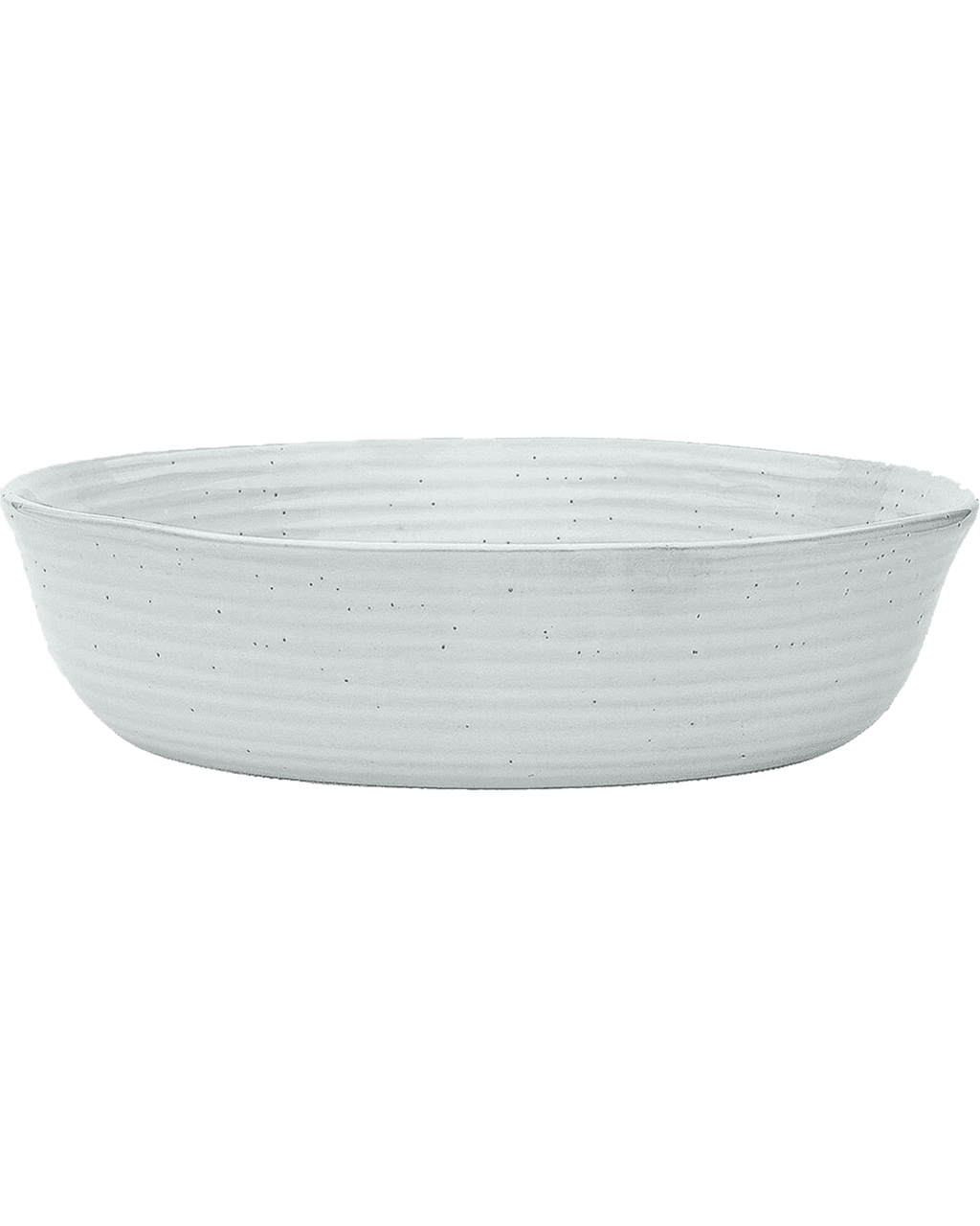 Buy Ecology Ottawa Lichen Stoneware Dinner Bowl Noodle/soup Rice Dish ...