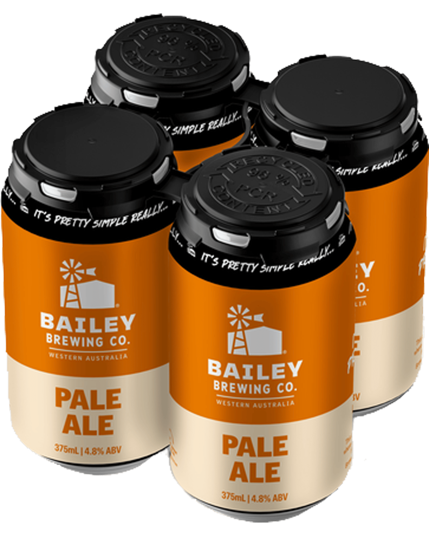 Buy Bailey Brewing Co. Pale Ale 375ml Online @Lowest Price