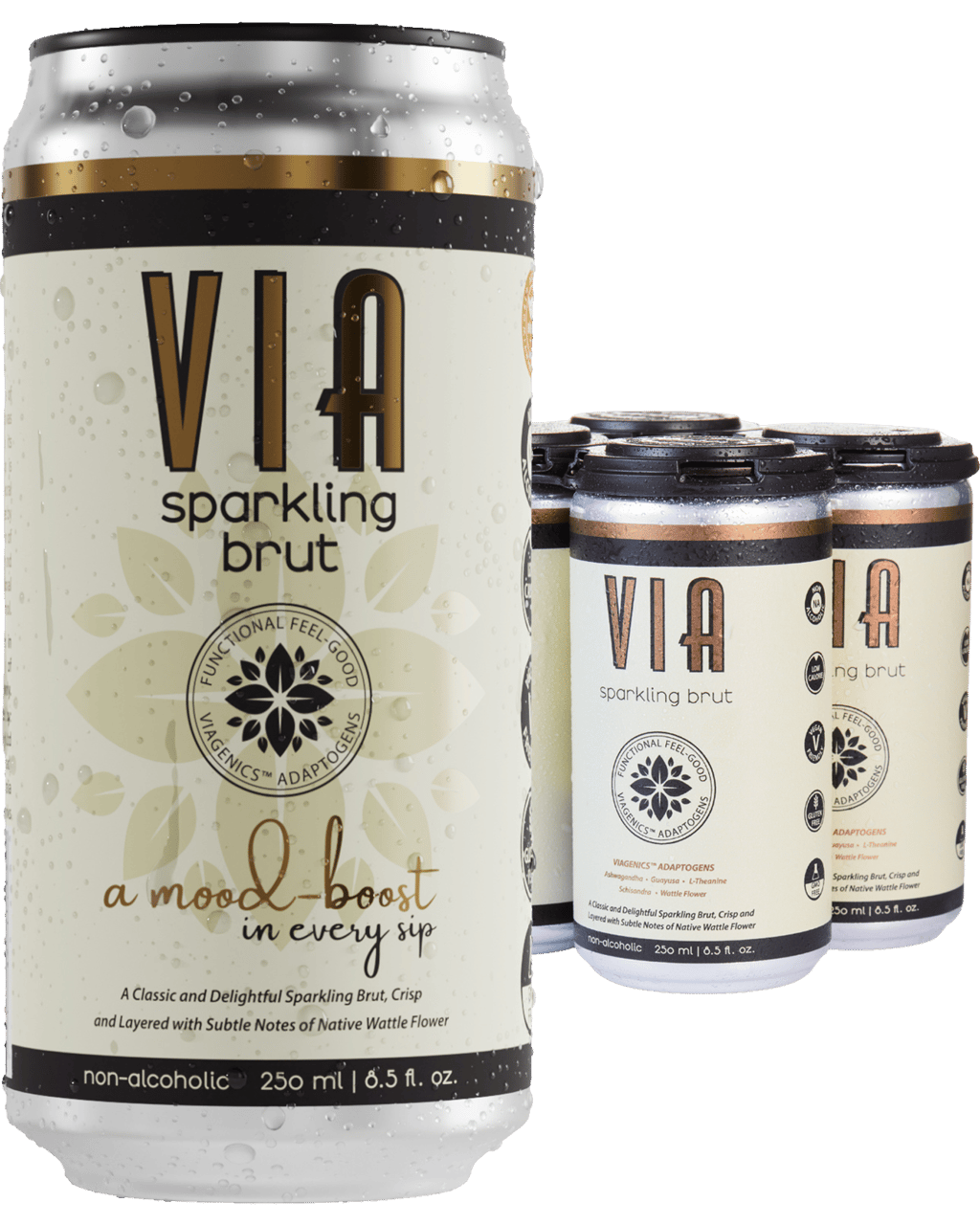 Buy Via Drinks Sparkling Brut 250ml Online @Lowest Price