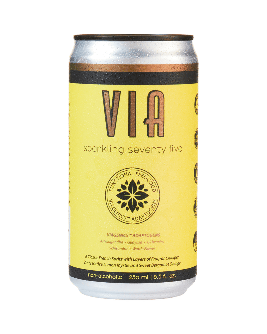 Buy Via Drinks Sparkling 75 Online @Lowest Price