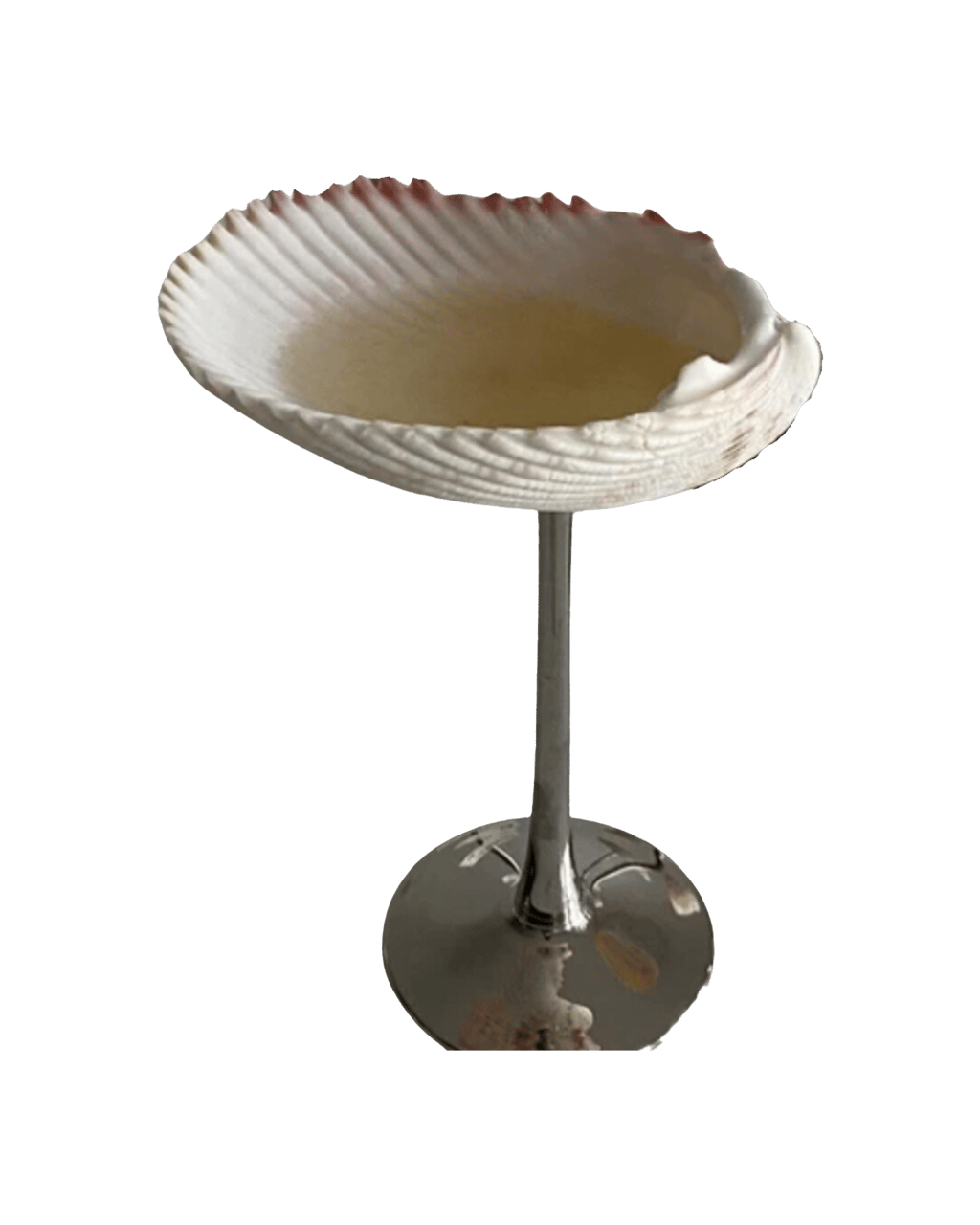 Buy Saltist Sea Shell Wine Or Cocktail Glass With Silver Stem Online ...