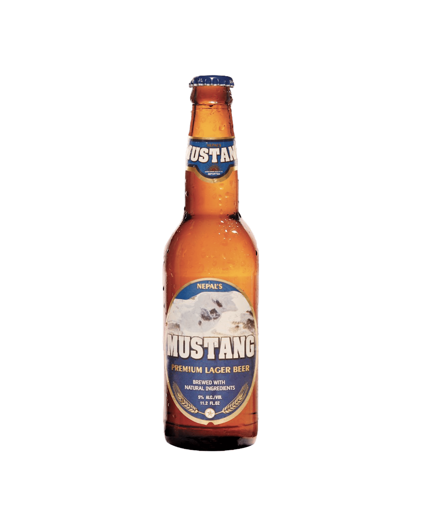 Buy Cg Nepal's Mustang Beer 330ml Online @Lowest Price