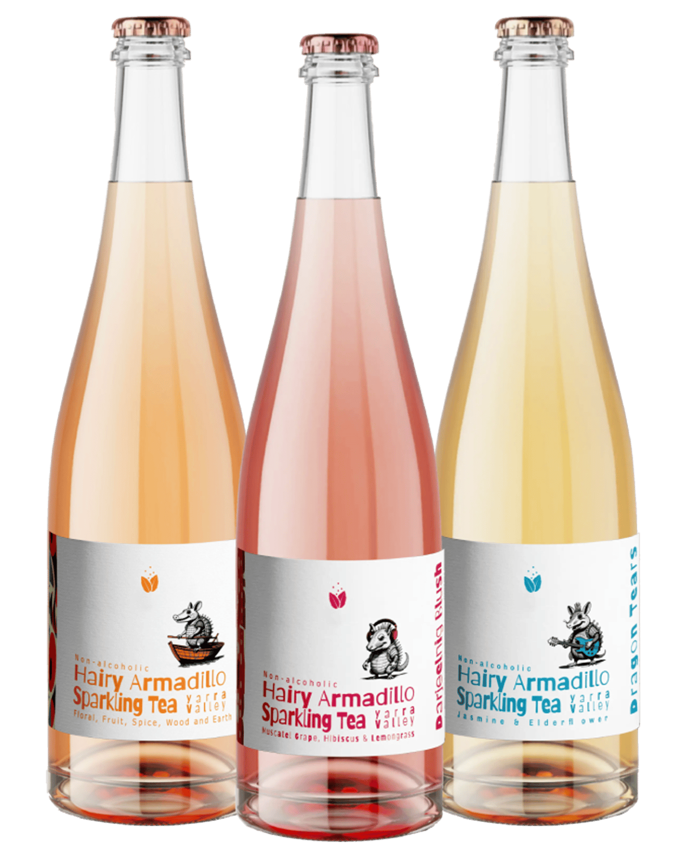 Buy Hairy Armadillo Mixed Carton Naturally Fermented Sparkling Tea ...