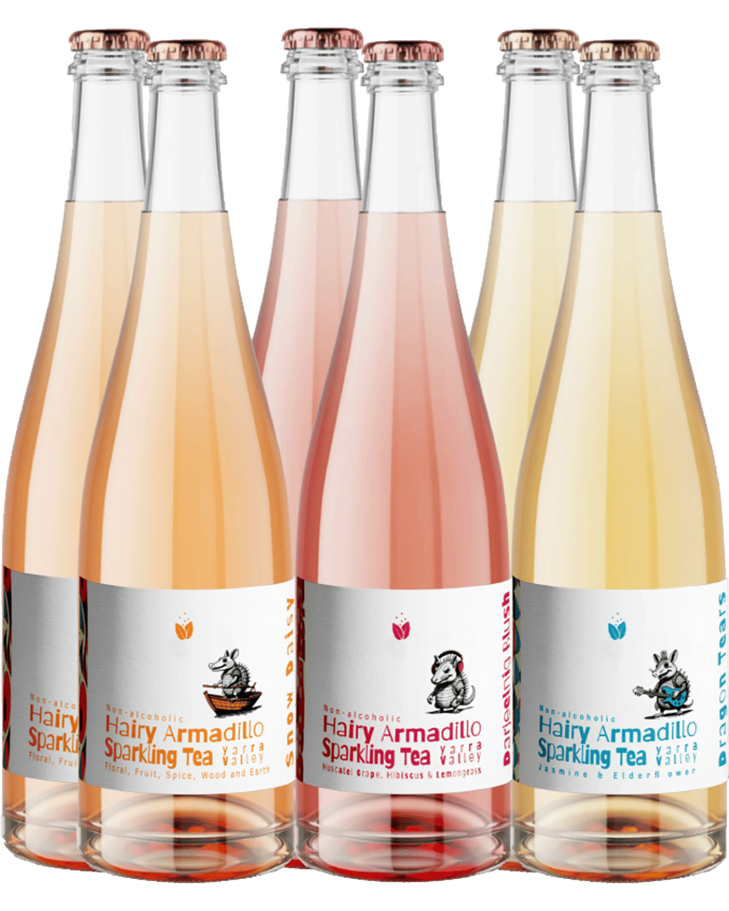 Buy Hairy Armadillo Mixed Carton Naturally Fermented Sparkling Tea ...