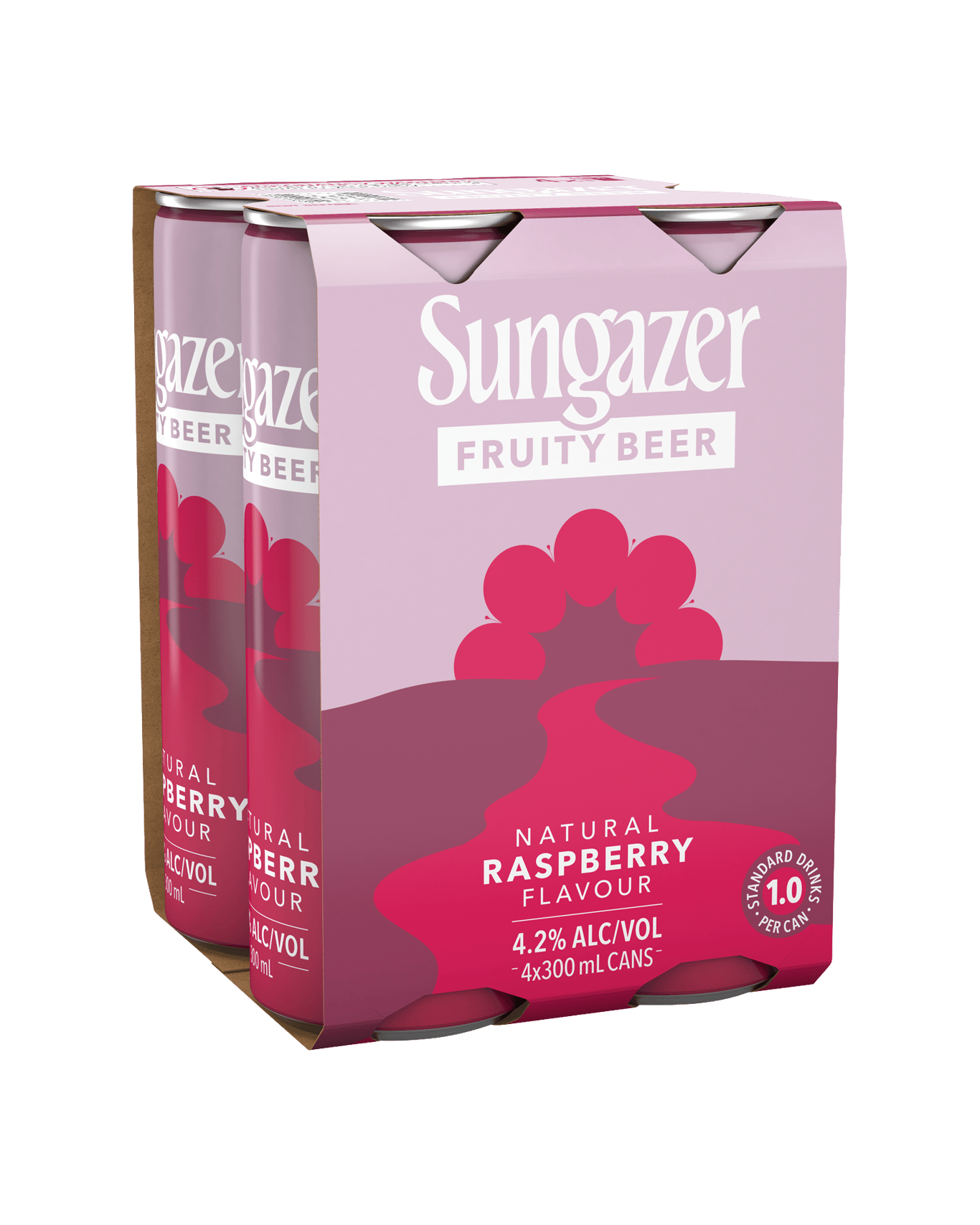 Buy Sungazer Fruity Beer Raspberry Can 300ml Online @Lowest Price
