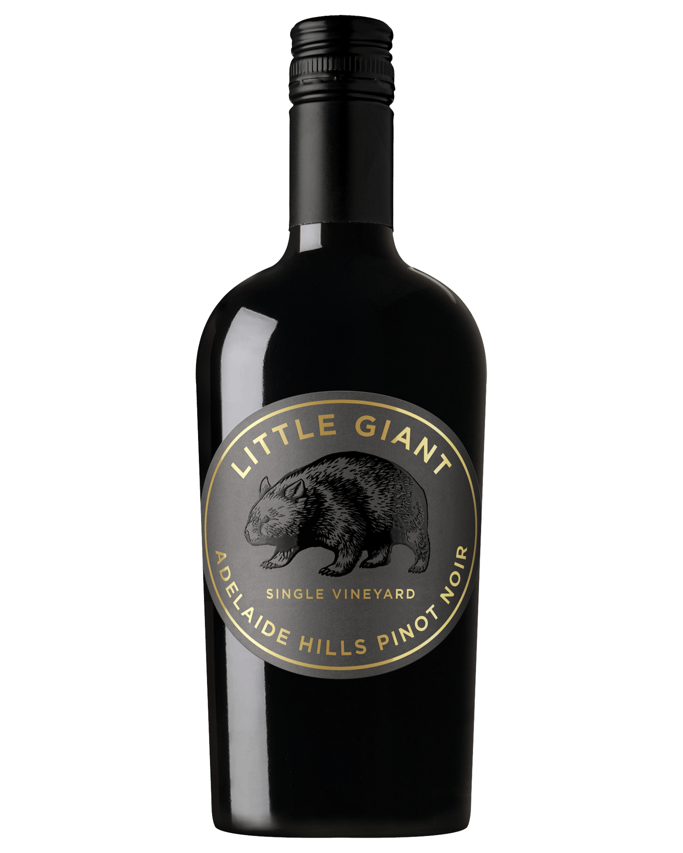 Buy Little Giant Black Label Pinot Noir Online @Lowest Price