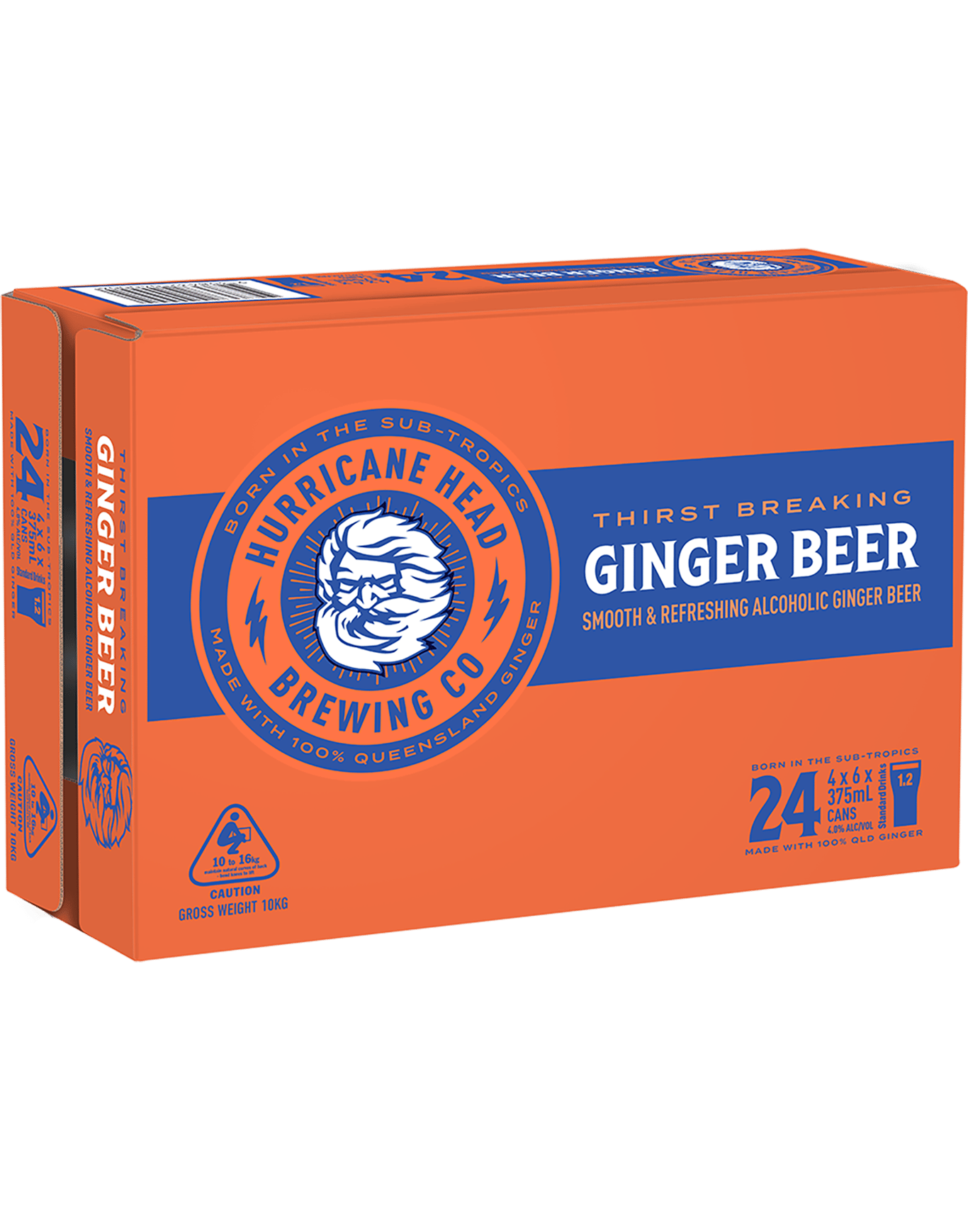 Buy Hurricane Head Ginger Cans 375ml Online (Lowest Price Guarantee ...