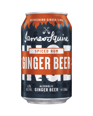 Buy James Squire Spiced Rum Ginger Beer Cans 330ml Online @Lowest Price
