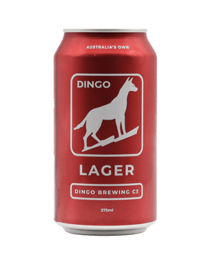 Buy Dingo Brewing Co Lager Mid Strength Cans 375ml Online @Lowest Price